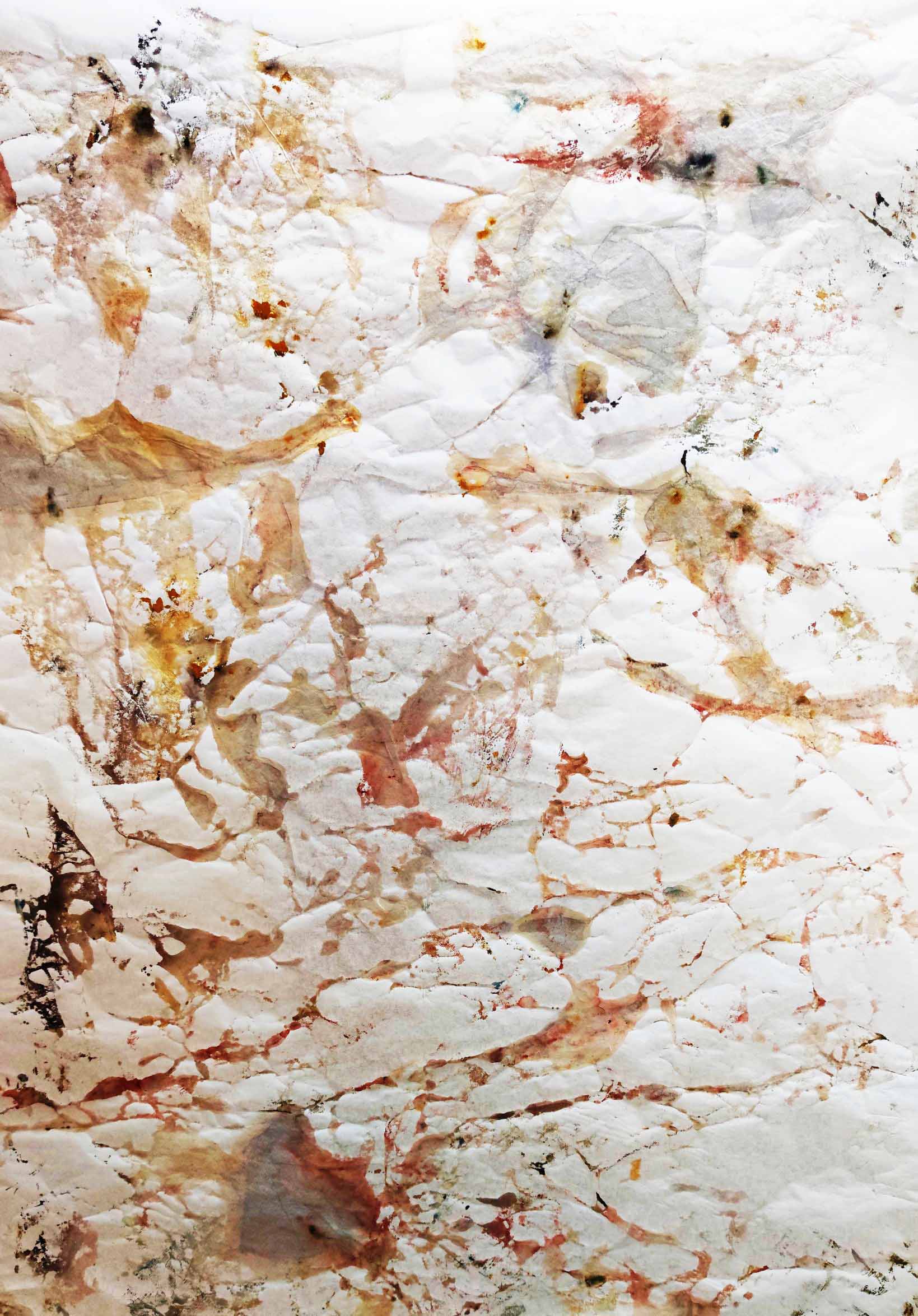 Ancient bubbles – Laura Cid Sagarra